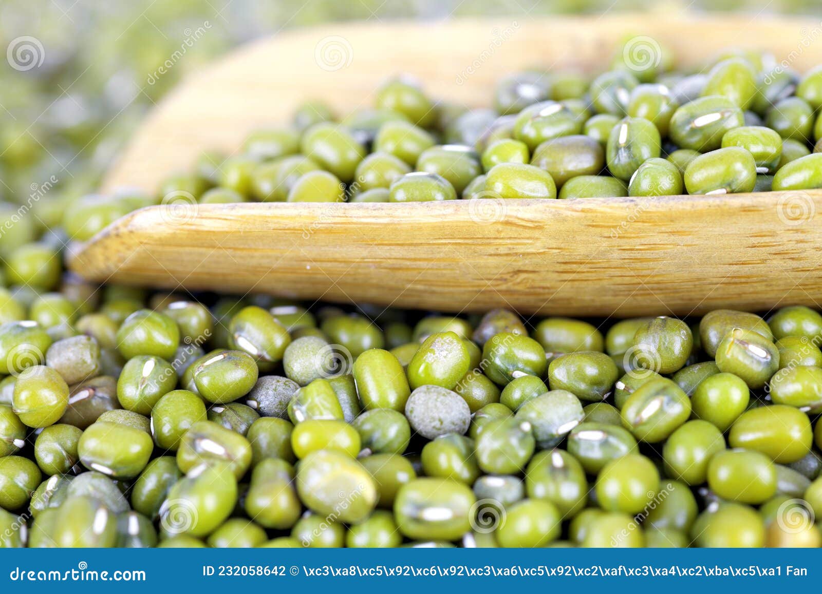 Gros plan du haricot mung photo stock. Image du lumineux - 232058642