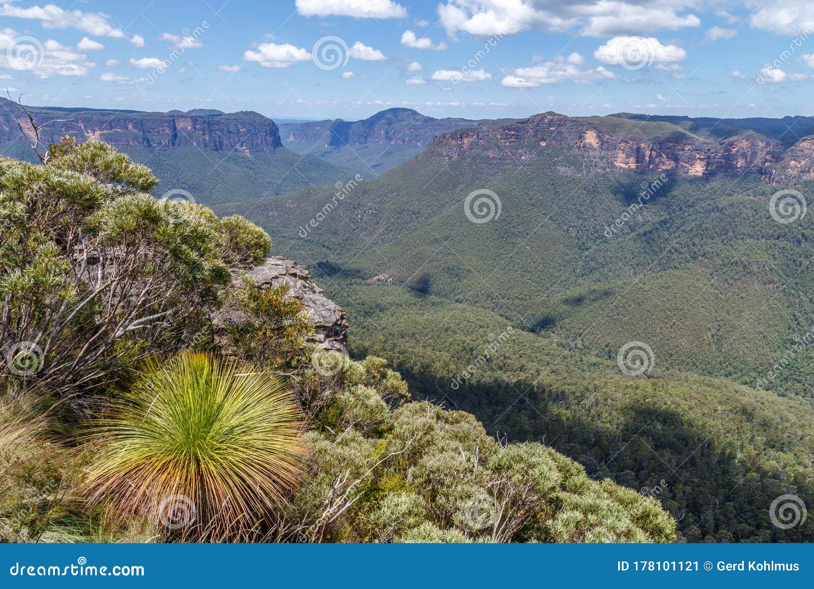 Grose Valley in the Blue Mountains Stock Image - Image of national ...