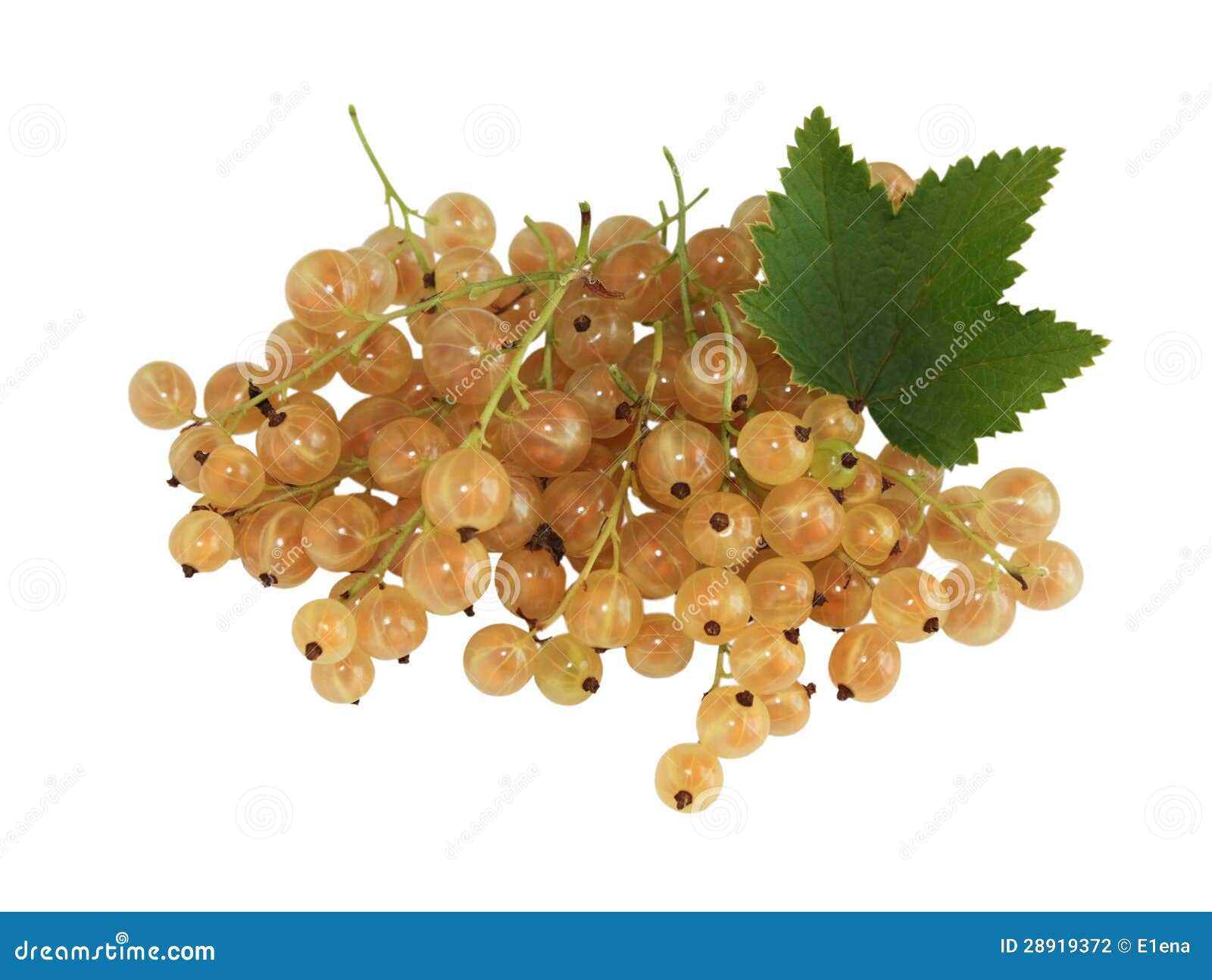 Groseille blanche photo stock. Image du lame, organique - 28919372