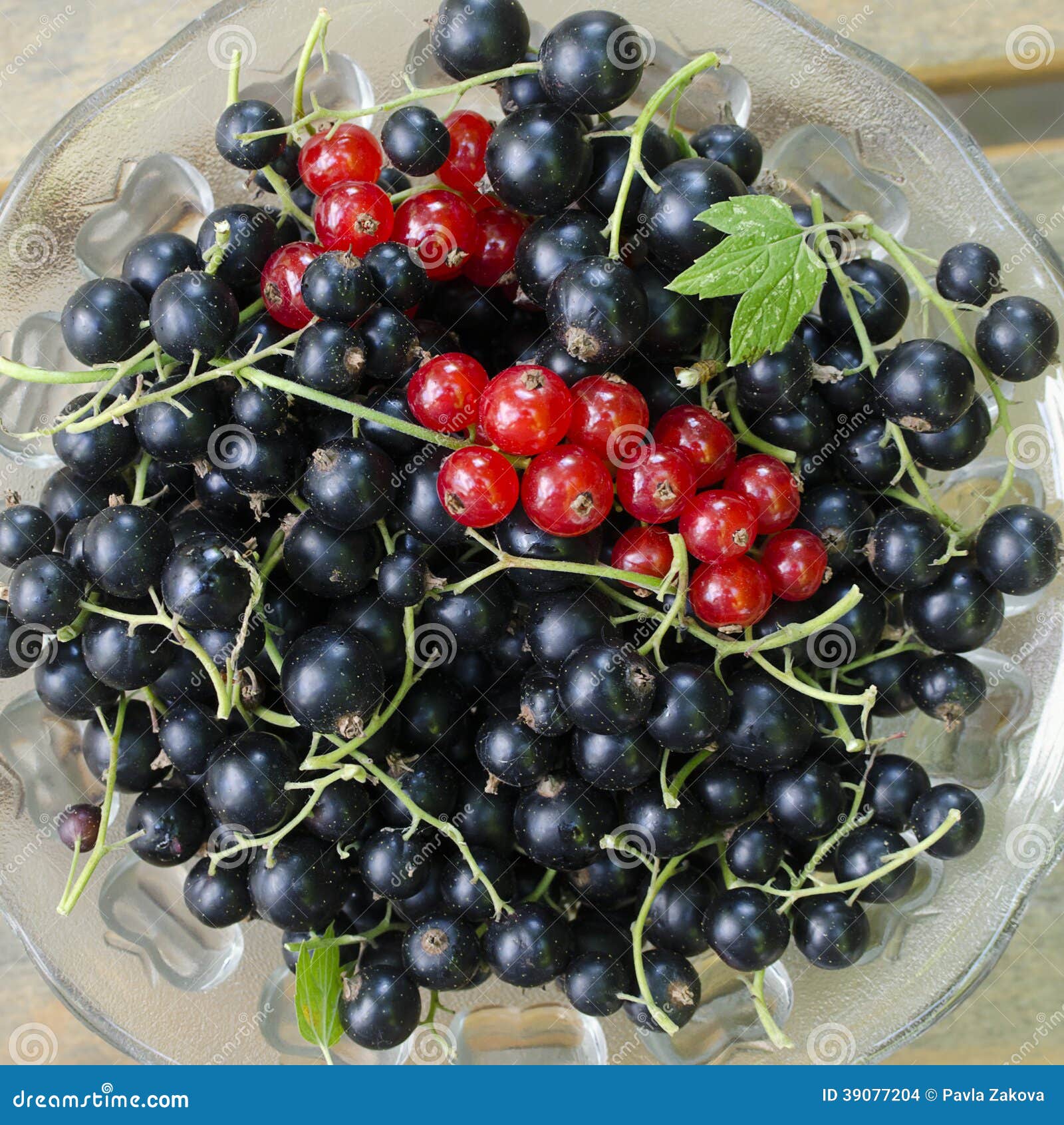 Groseille noire et rouge photo stock. Image du cassis - 39077204