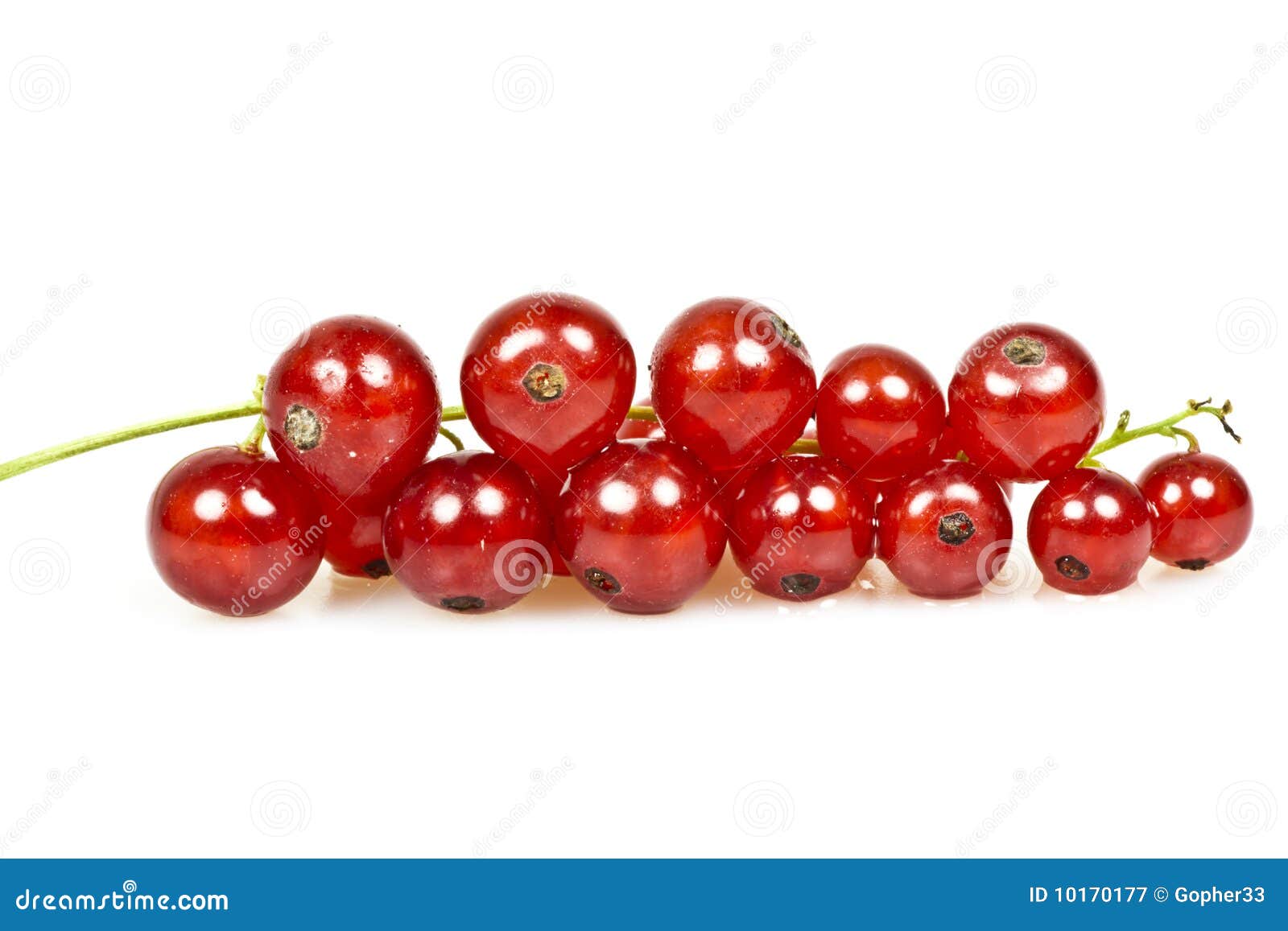 Groseille rouge image stock. Image du couleur, rouge - 10170177