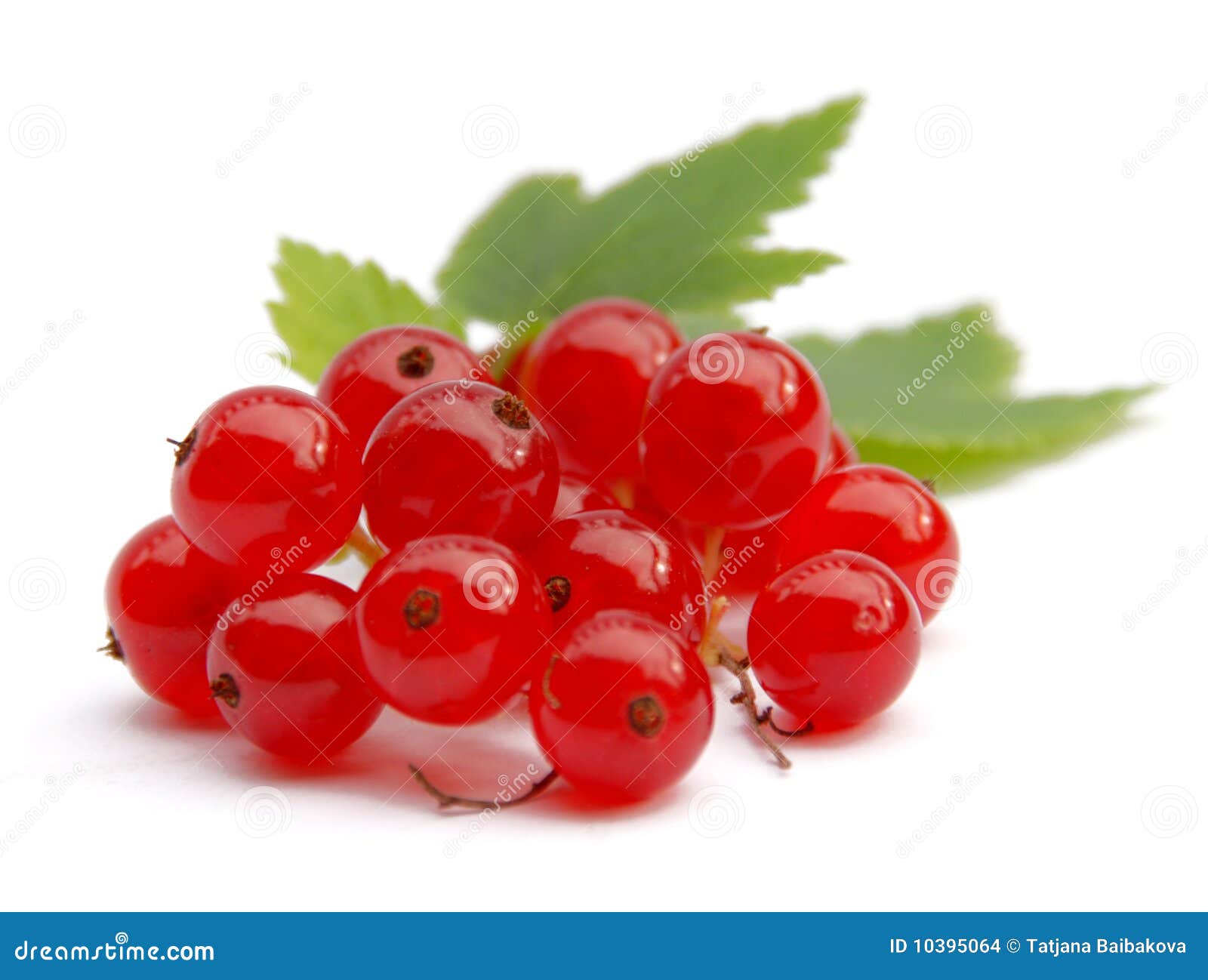 Groseille rouge photo stock. Image du vert, gourmet, mûr - 10395064