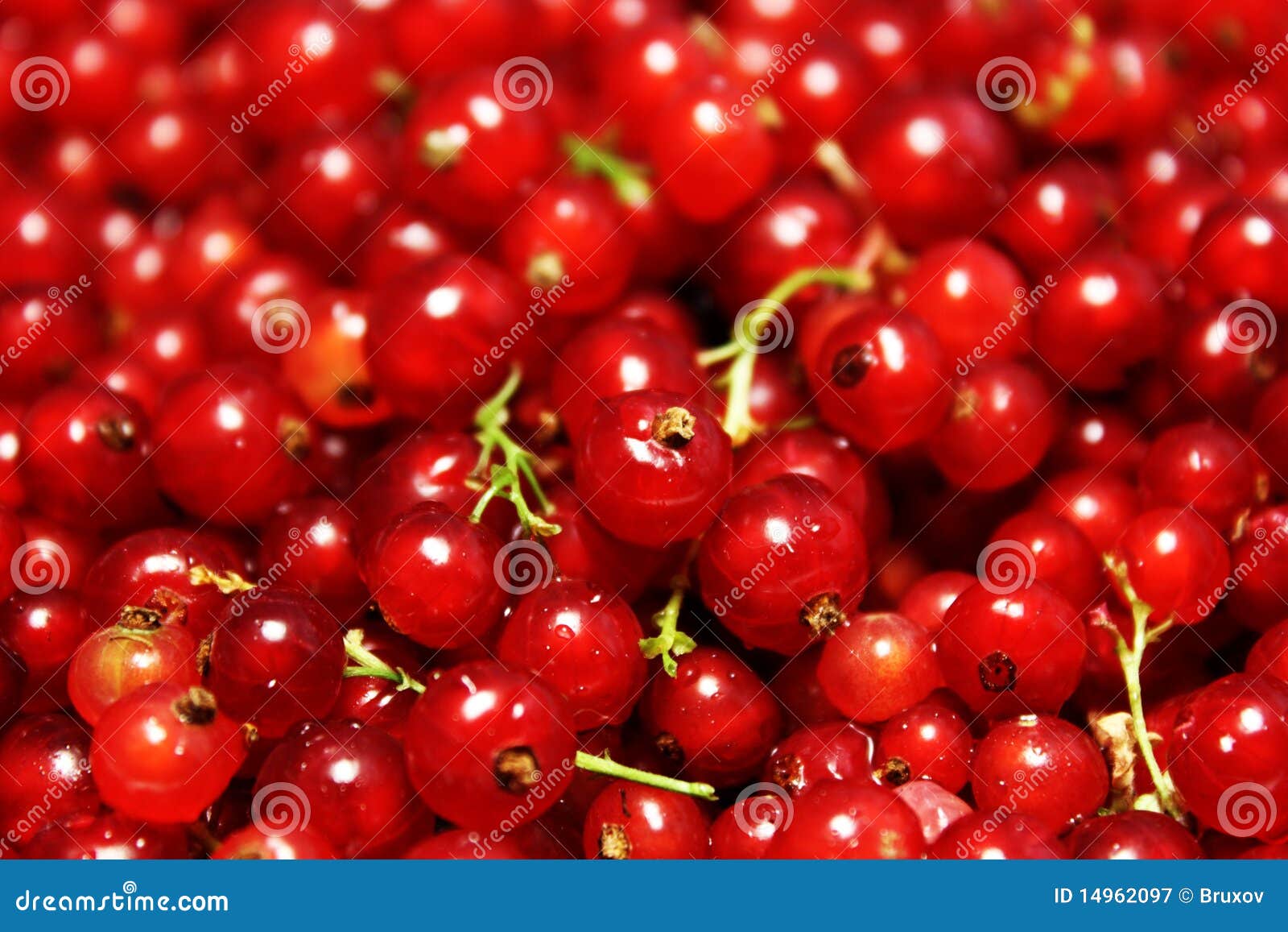 Groseille rouge image stock. Image du feuille, dessert - 14962097