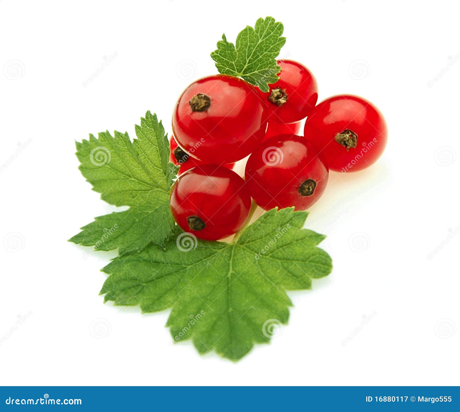 Groseille rouge image stock. Image du lame, boisson, vivacité - 16880117