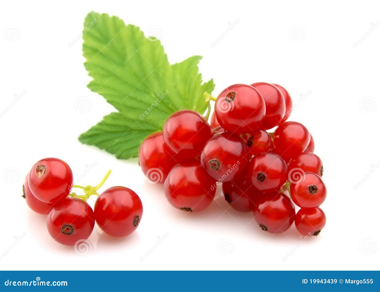 Groseille rouge image stock. Image of mûr, juteux, nourriture - 19943439