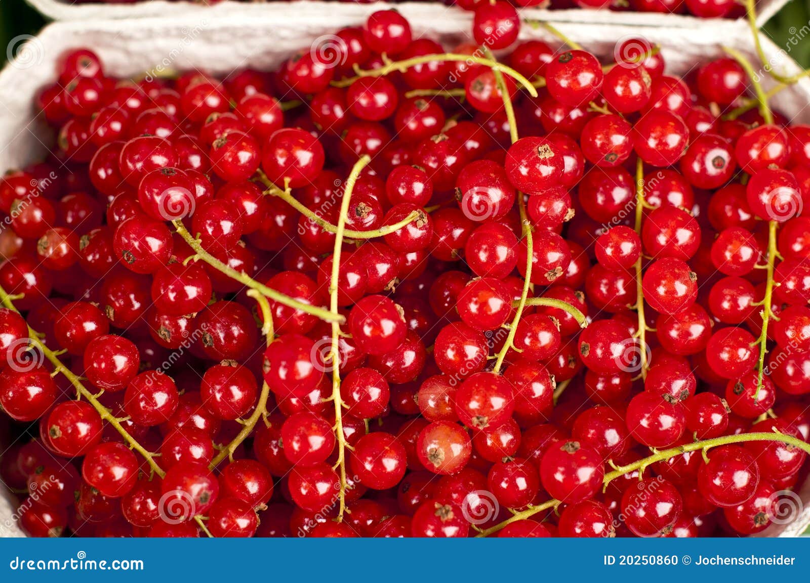 Groseille rouge photo stock. Image du frais, ingrédient - 20250860