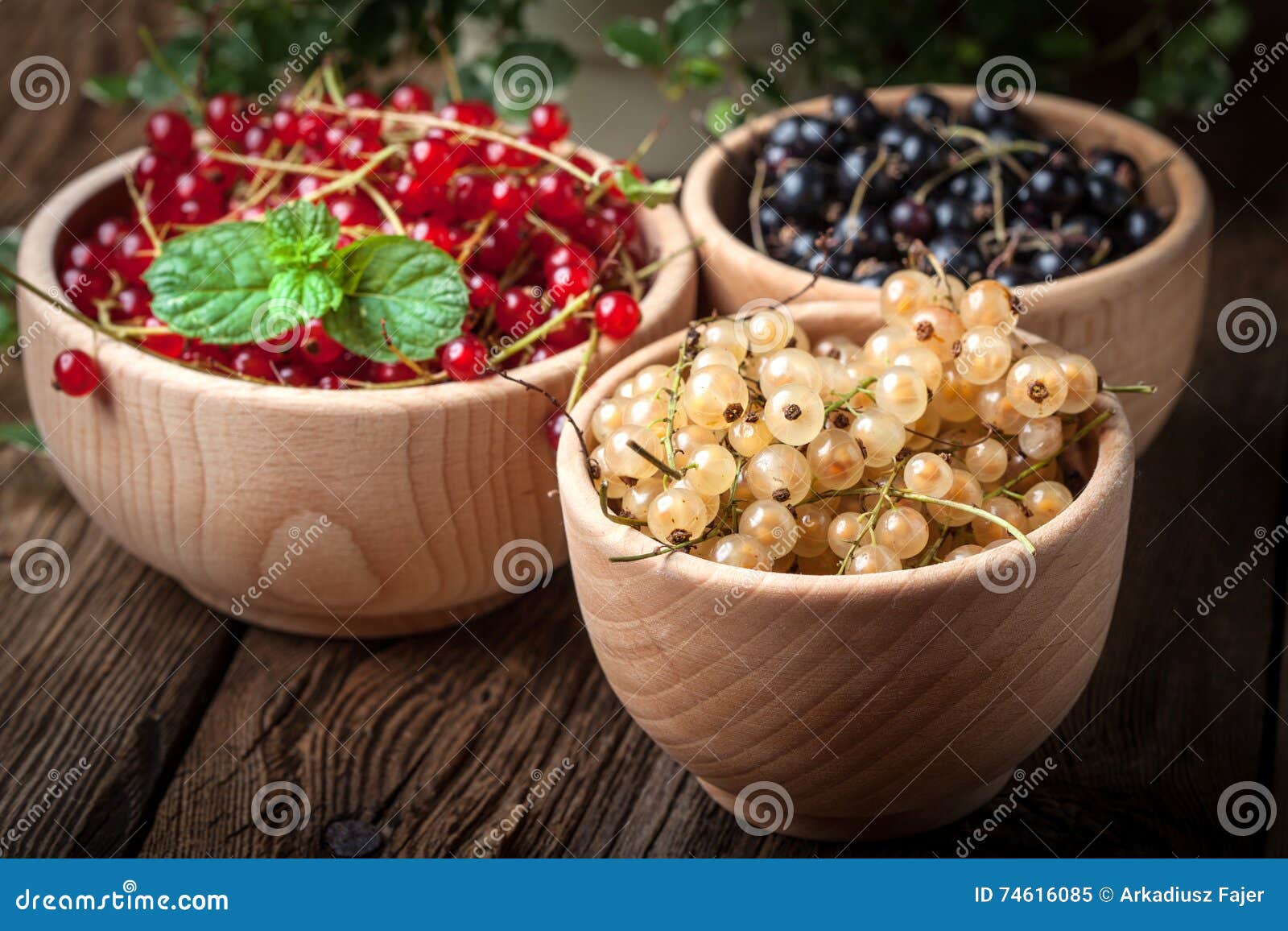Groseille Rouge, Cassis, Fruit De Groseille Blanche Image stock - Image ...