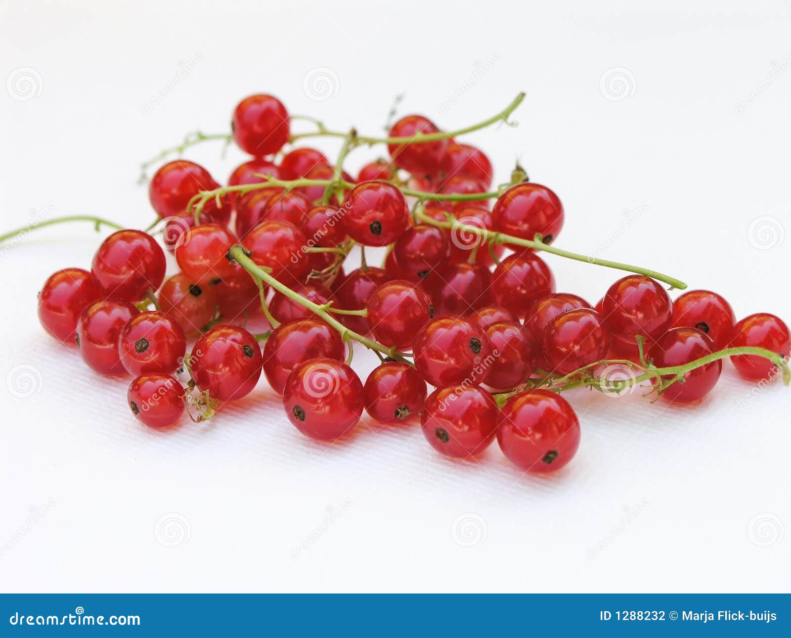 Groseilles rouges 2 photo stock. Image du été, moissonné - 1288232