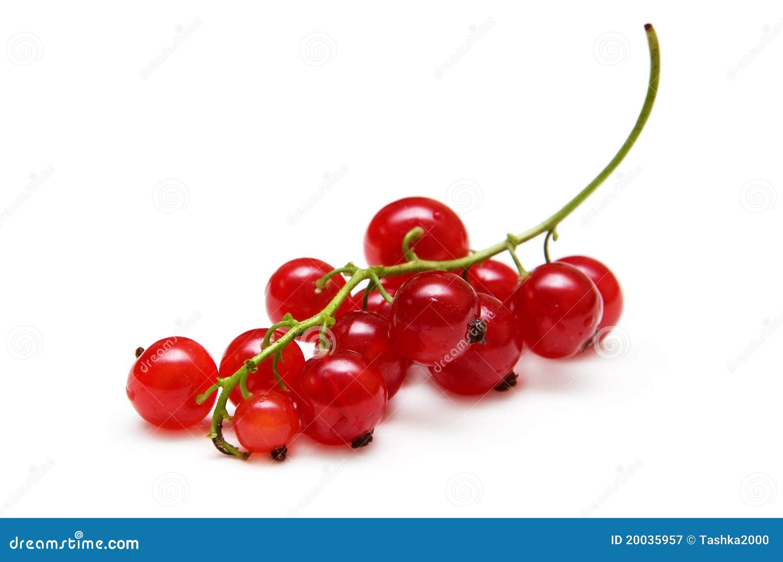 Groseilles rouges image stock. Image du aigre, fruits - 20035957