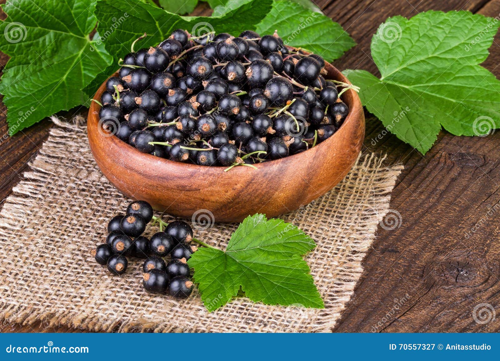 Groselha Com As Folhas Do Verde Na Lona Imagem de Stock - Imagem de ...