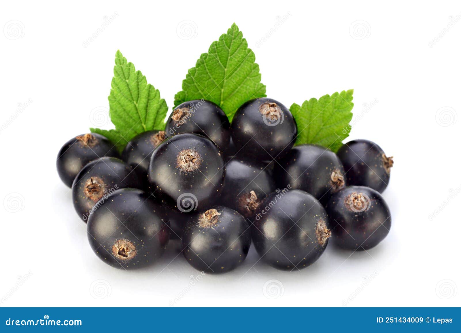 Groselha preta em branco imagem de stock. Imagem de vitamina - 251434009