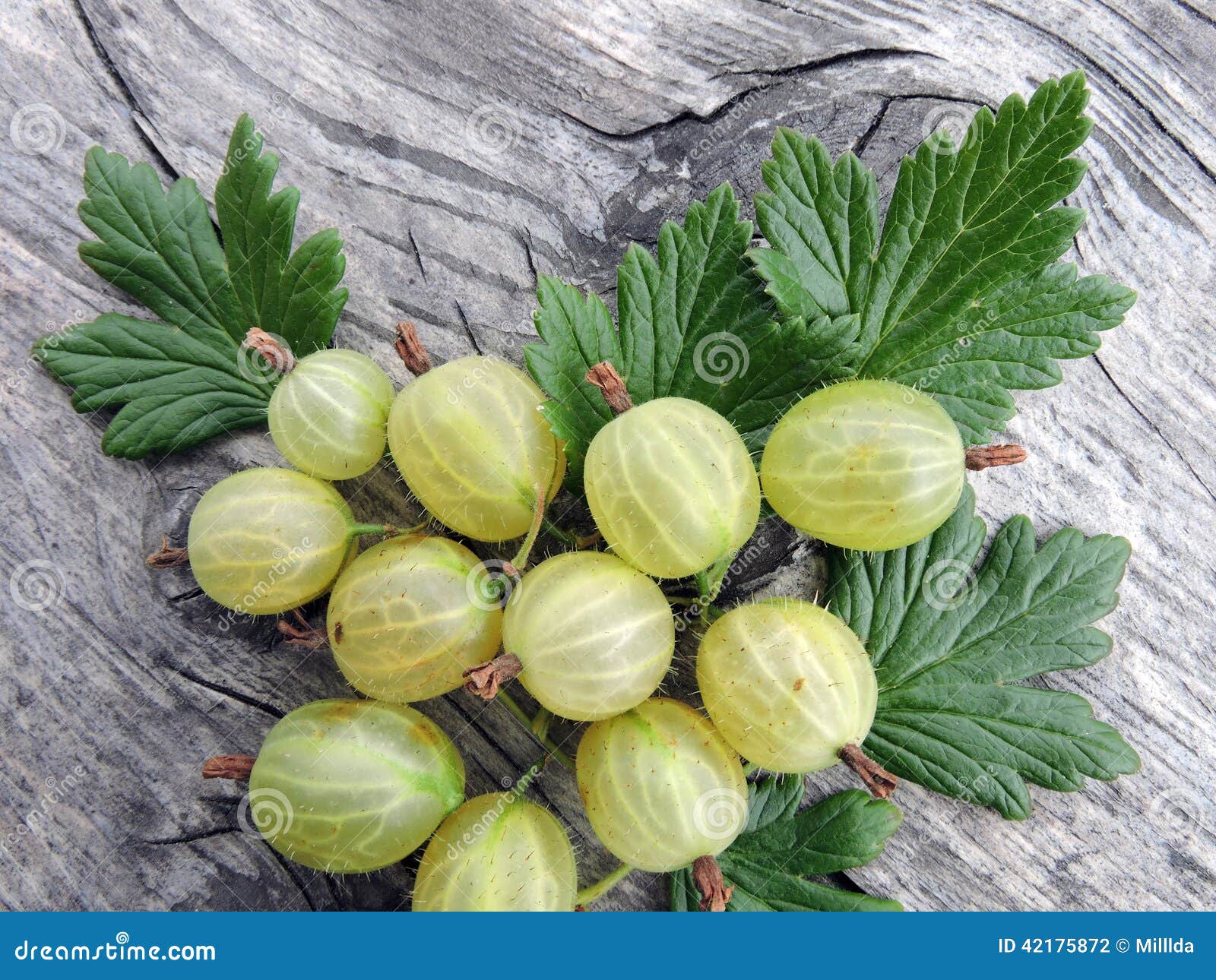 Groselha verde foto de stock. Imagem de mesa, verde, bagas - 42175872