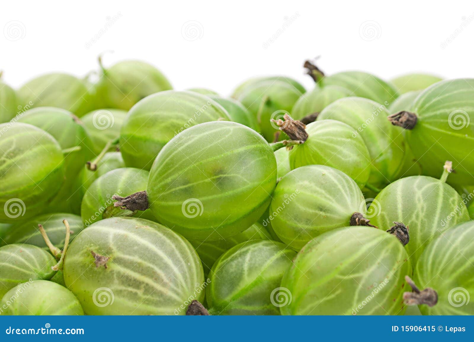 Grosella espinosa verde imagen de archivo. Imagen de baya - 15906415