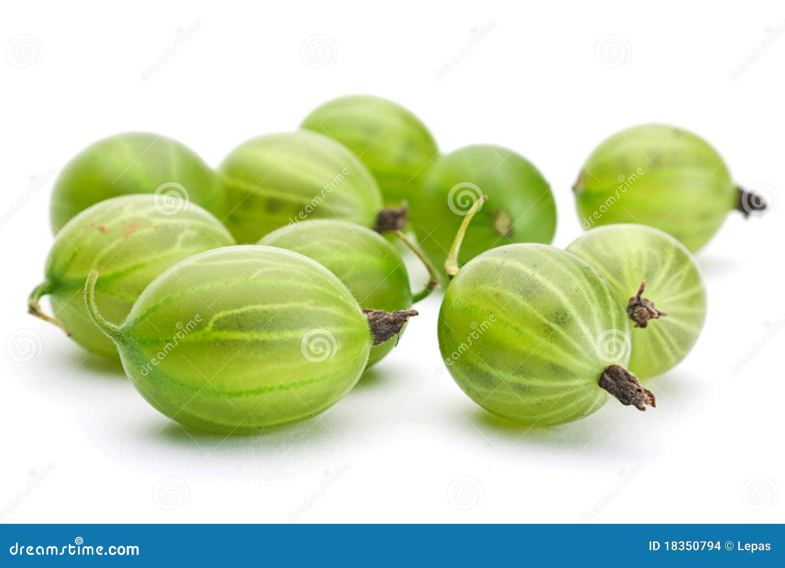 Grosella espinosa verde foto de archivo. Imagen de ingrediente - 18350794