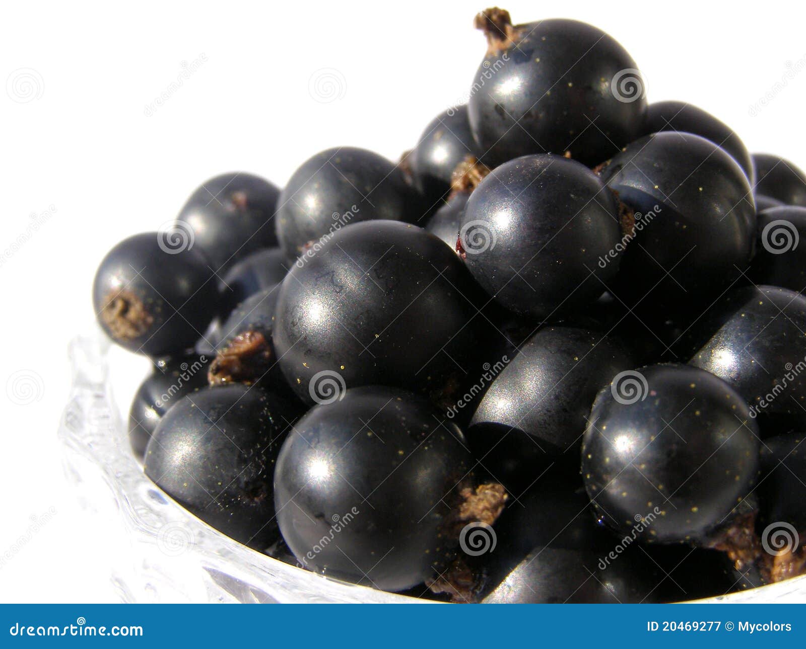 Grosella Negra - Bayas Dulces Negras Imagen de archivo - Imagen de ...