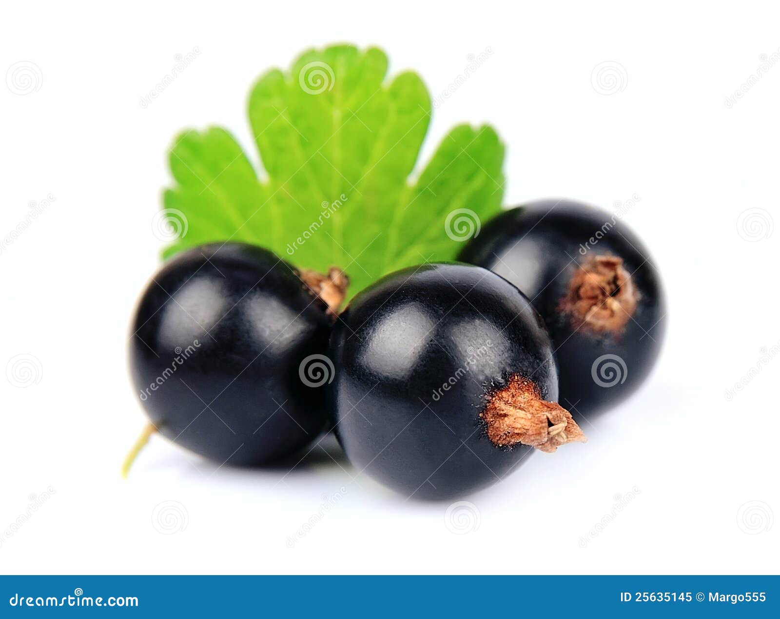 Grosella Negra Dulce Con Las Hojas Imagen de archivo - Imagen de ...