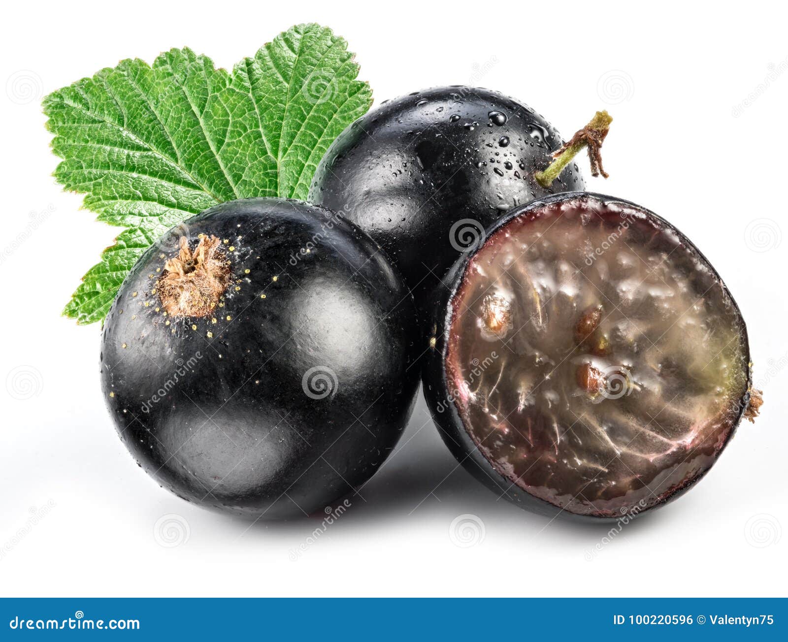 Grosella Negra En El Fondo Blanco Foto de archivo - Imagen de alimento ...