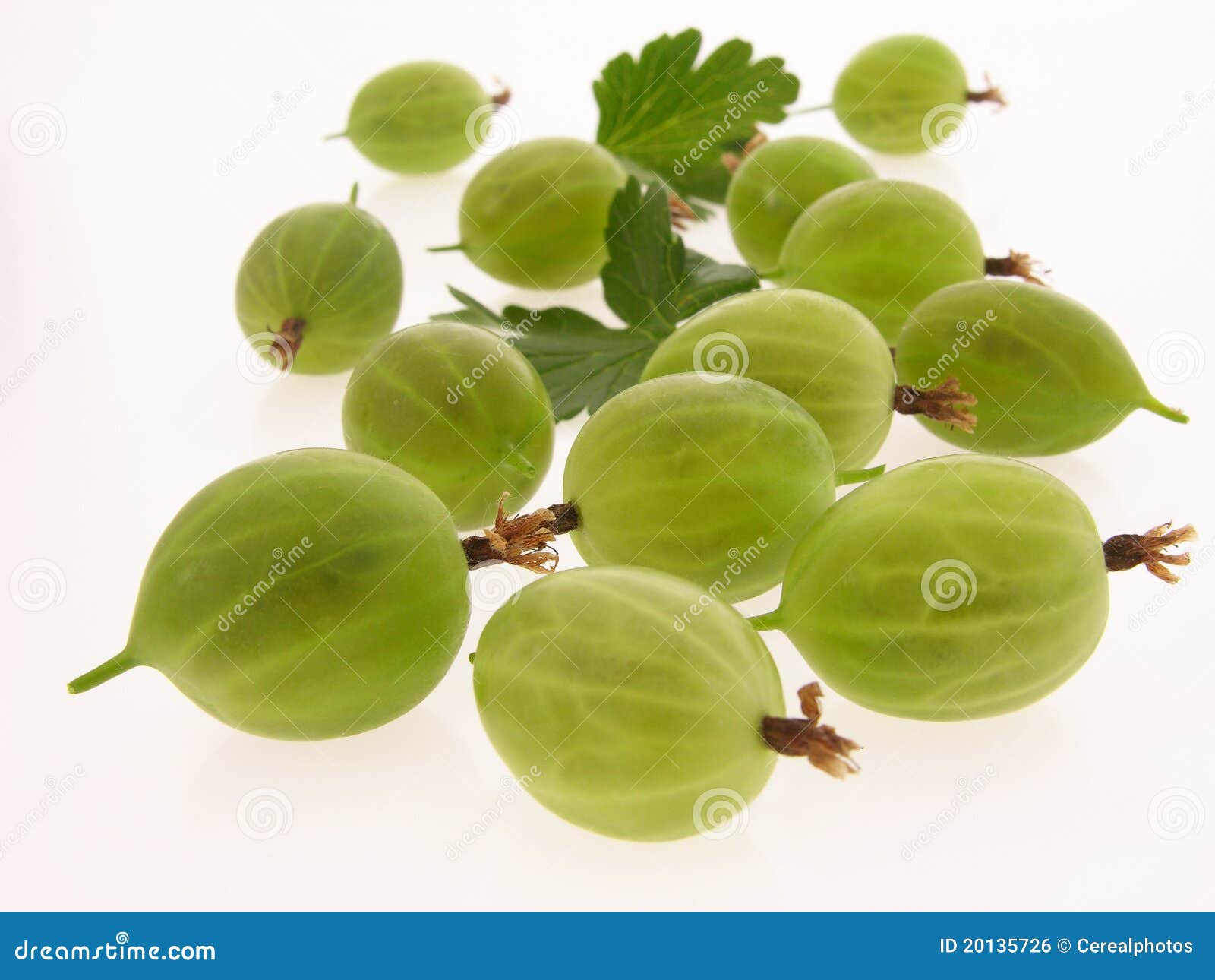 Grosellas espinosas foto de archivo. Imagen de maduro - 20135726