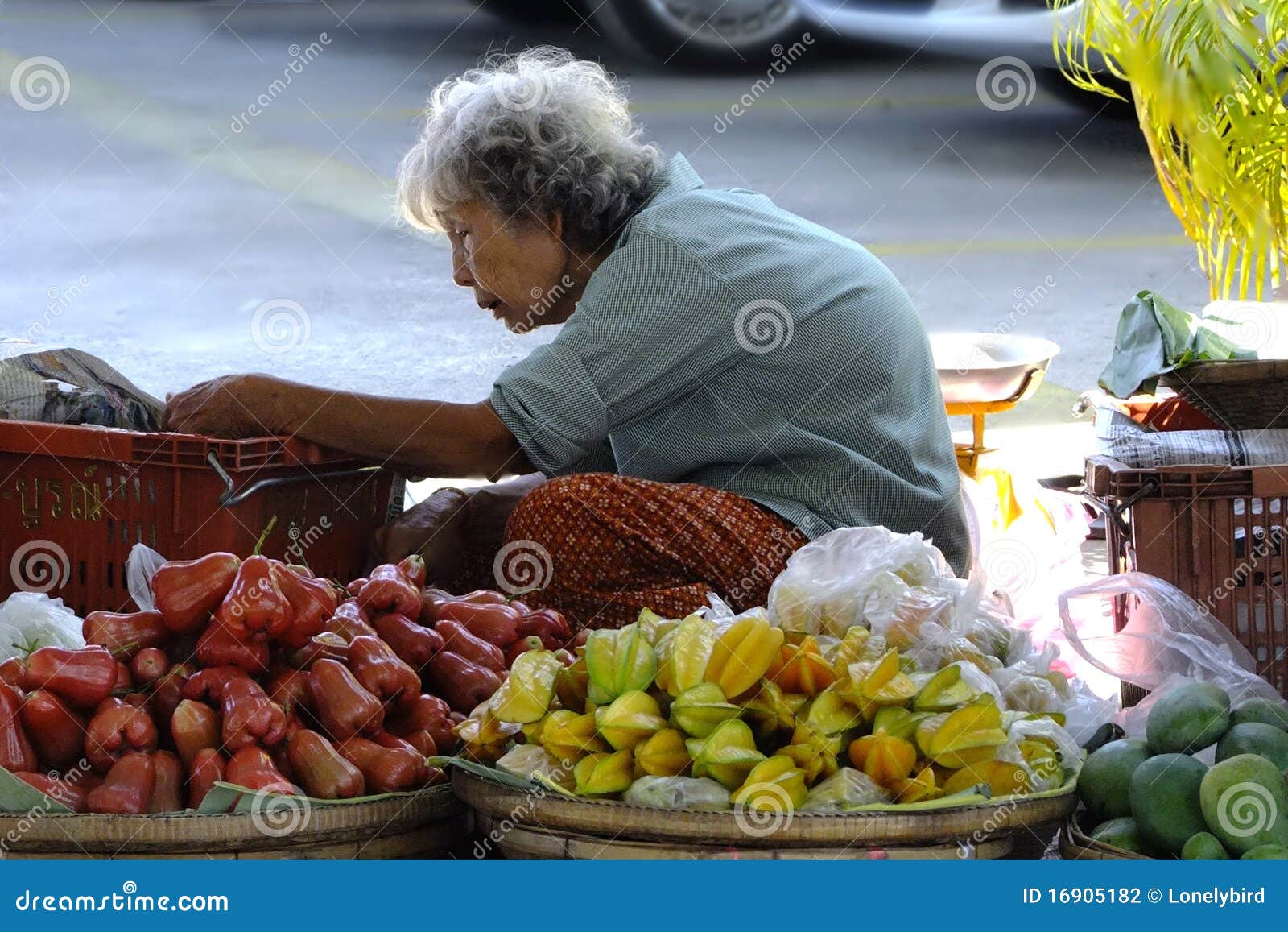 Groser editorial photography. Image of shopkeeper, gammer - 16905182