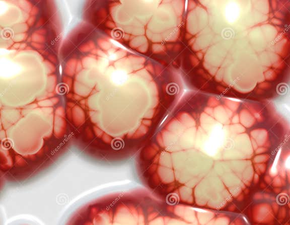 Gross Human Brains stock illustration. Illustration of cell - 5615110