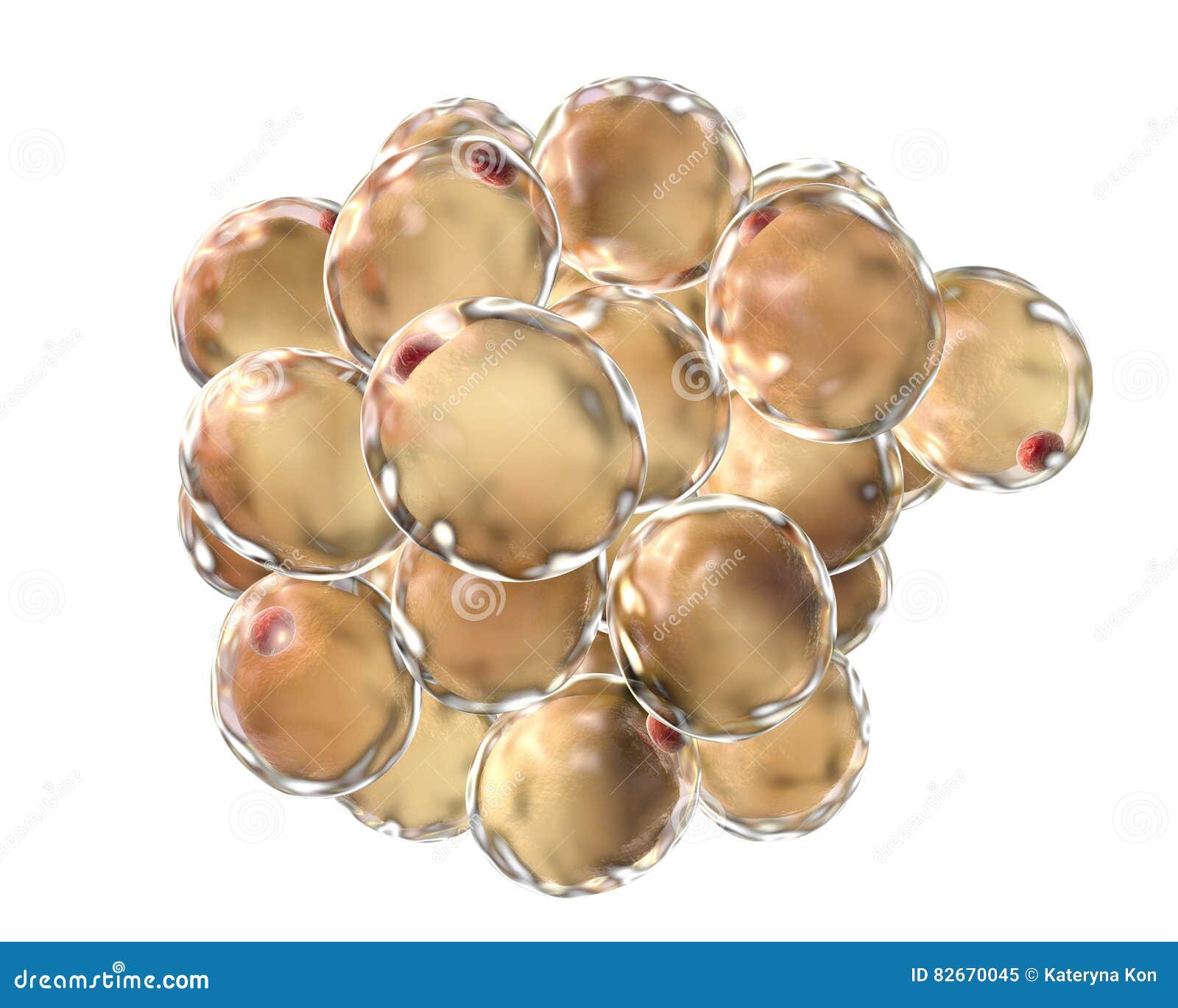 Grosses cellules adipeuses illustration stock. Illustration du adipeux ...