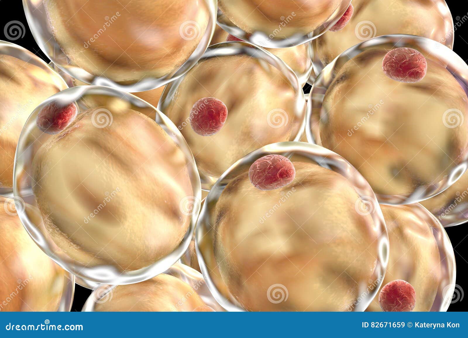 Grosses cellules adipeuses illustration stock. Illustration du gros ...