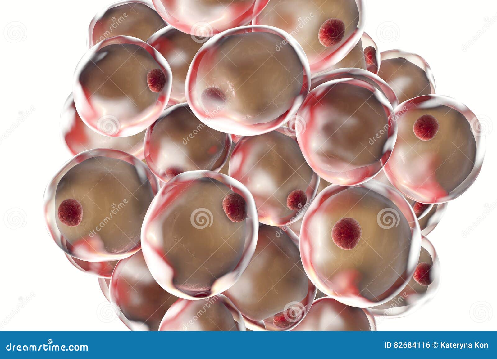 Grosses cellules adipeuses illustration stock. Illustration du ...