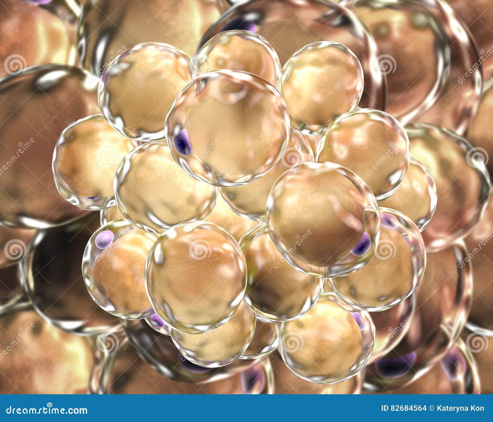 Grosses cellules adipeuses illustration stock. Illustration du ...