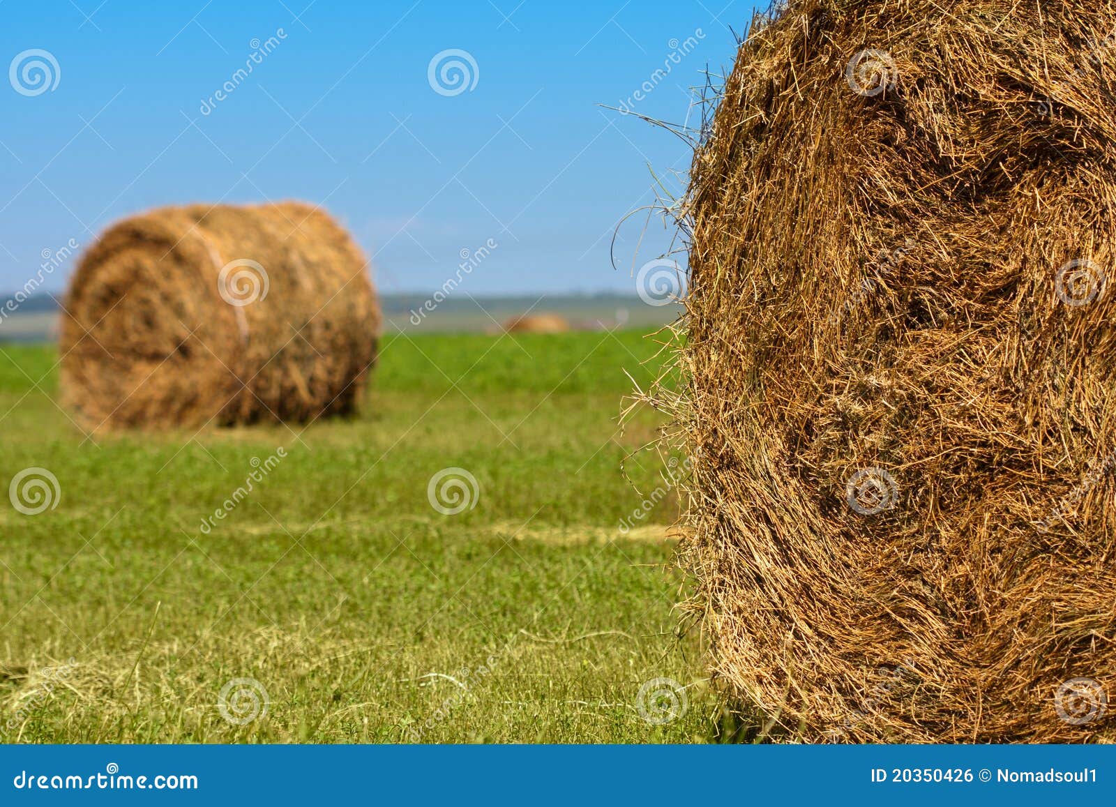 Grote balen van stro stock foto. Image of landen, hooi - 20350426