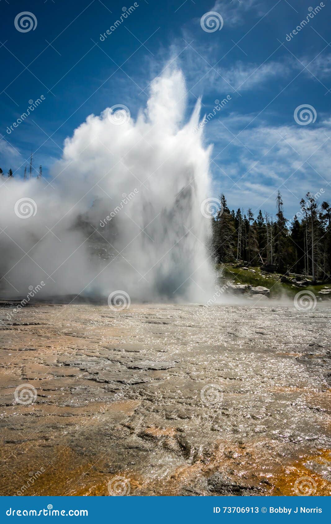 Grote Geiser, Het Nationale Park Van Yellowstone Stock Afbeelding ...