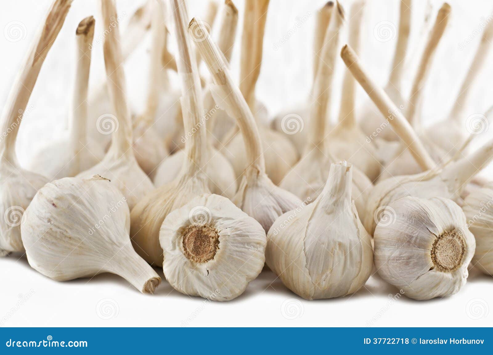 Grote groep knoflook stock foto. Image of beeld, oogst - 37722718