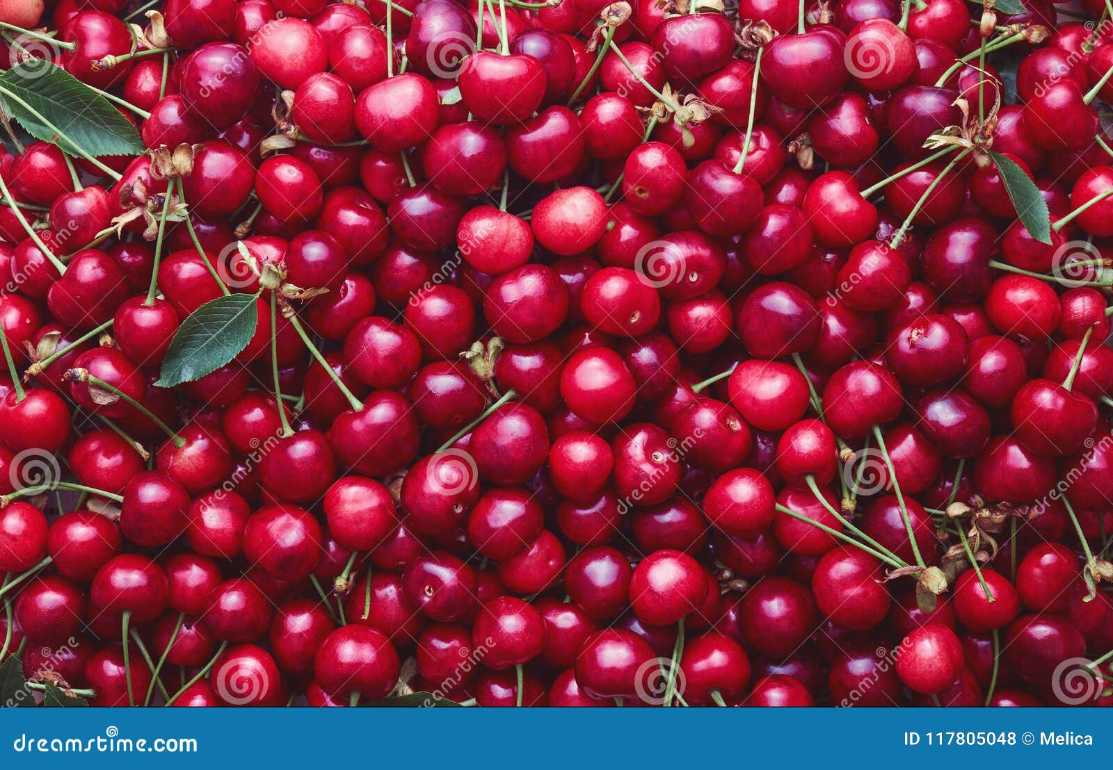 Grote Inzameling Van Verse Rode Kersen Stock Foto - Image of groep ...