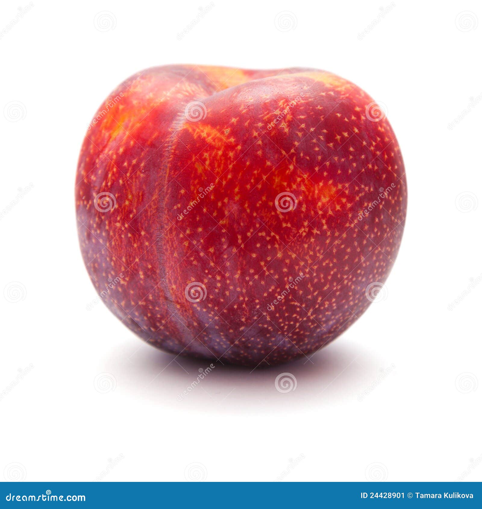 Grote rode pruim stock afbeelding. Image of gewas, mollig - 24428901