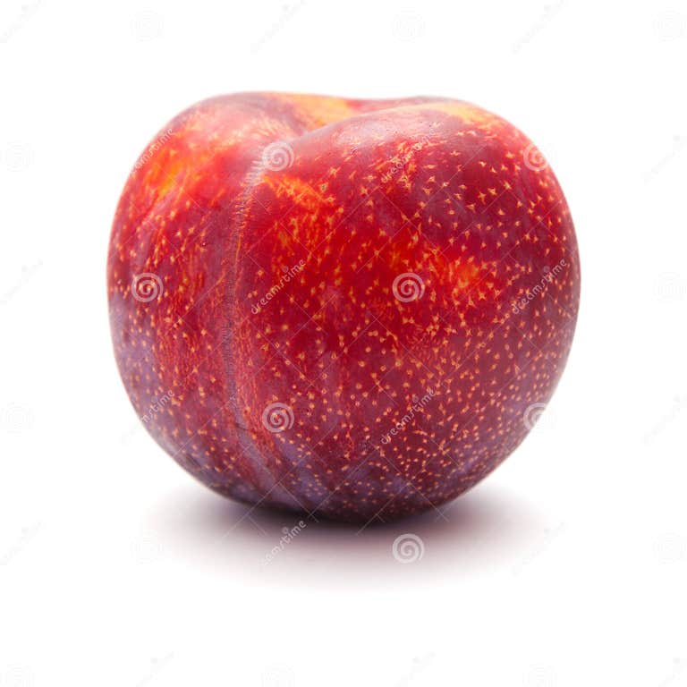 Grote rode pruim stock afbeelding. Image of gewas, mollig - 24428901