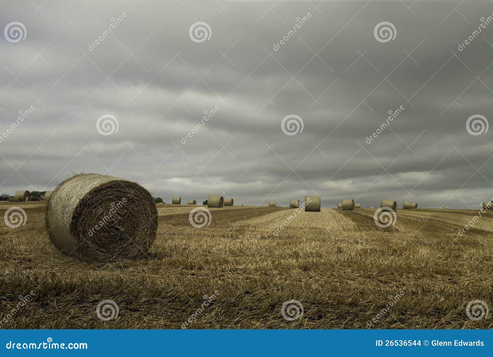 Grote ronde balen van stro stock foto. Image of landschap - 26536544
