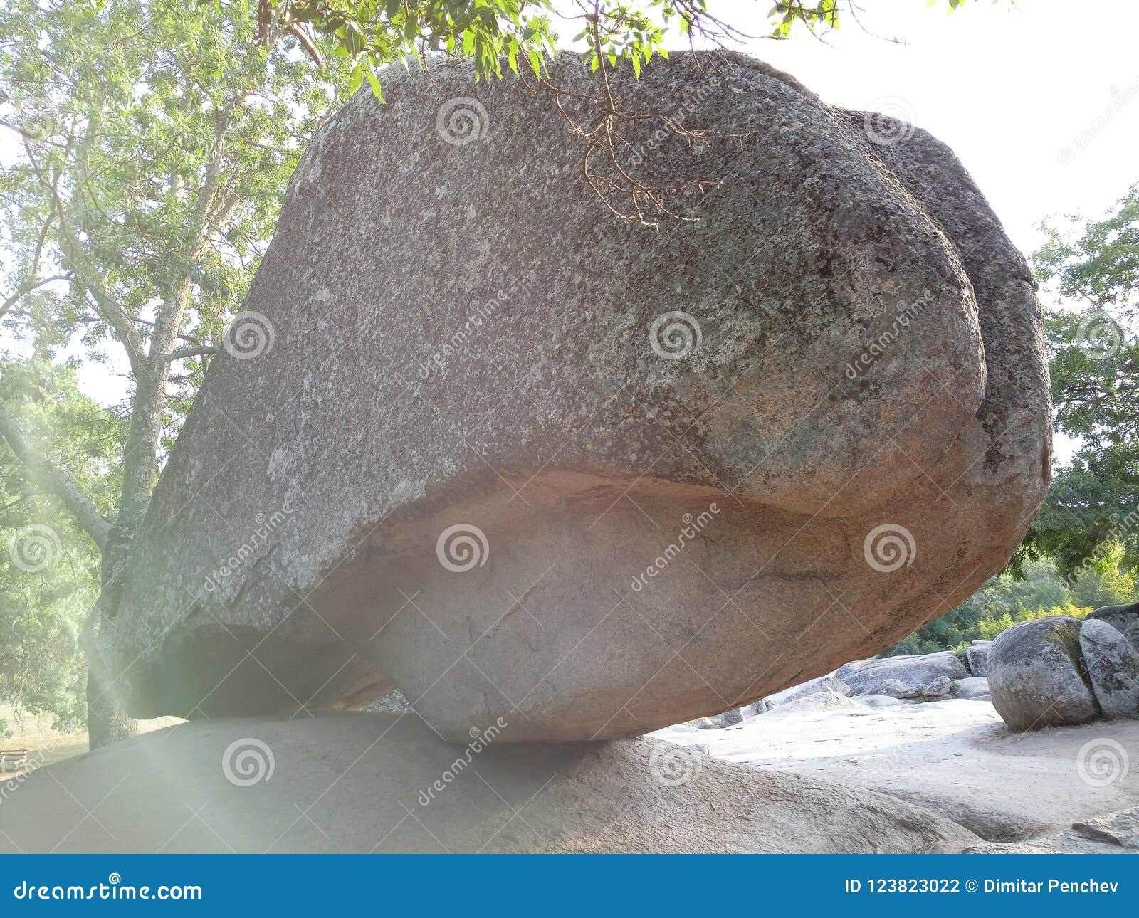 Grote Rots en boom stock foto. Image of rotsen, zand - 123823022