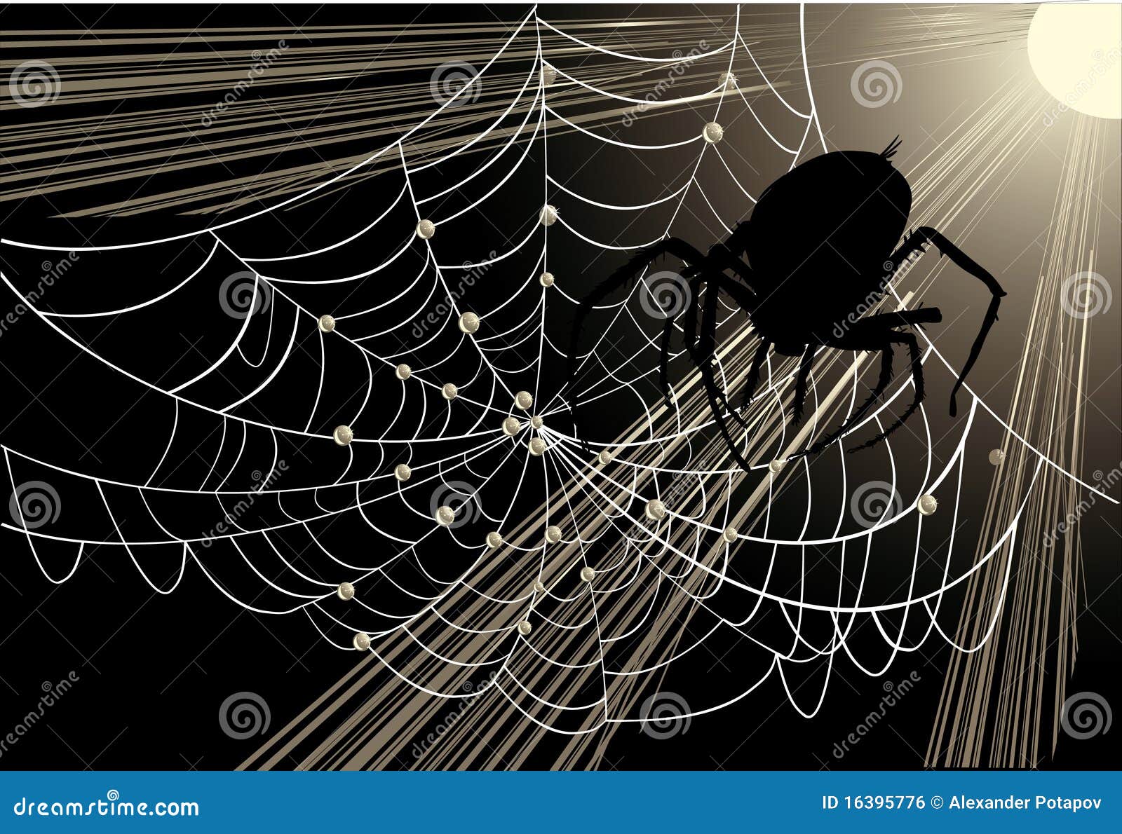 Grote spin in Web vector illustratie. Illustration of zwart - 16395776