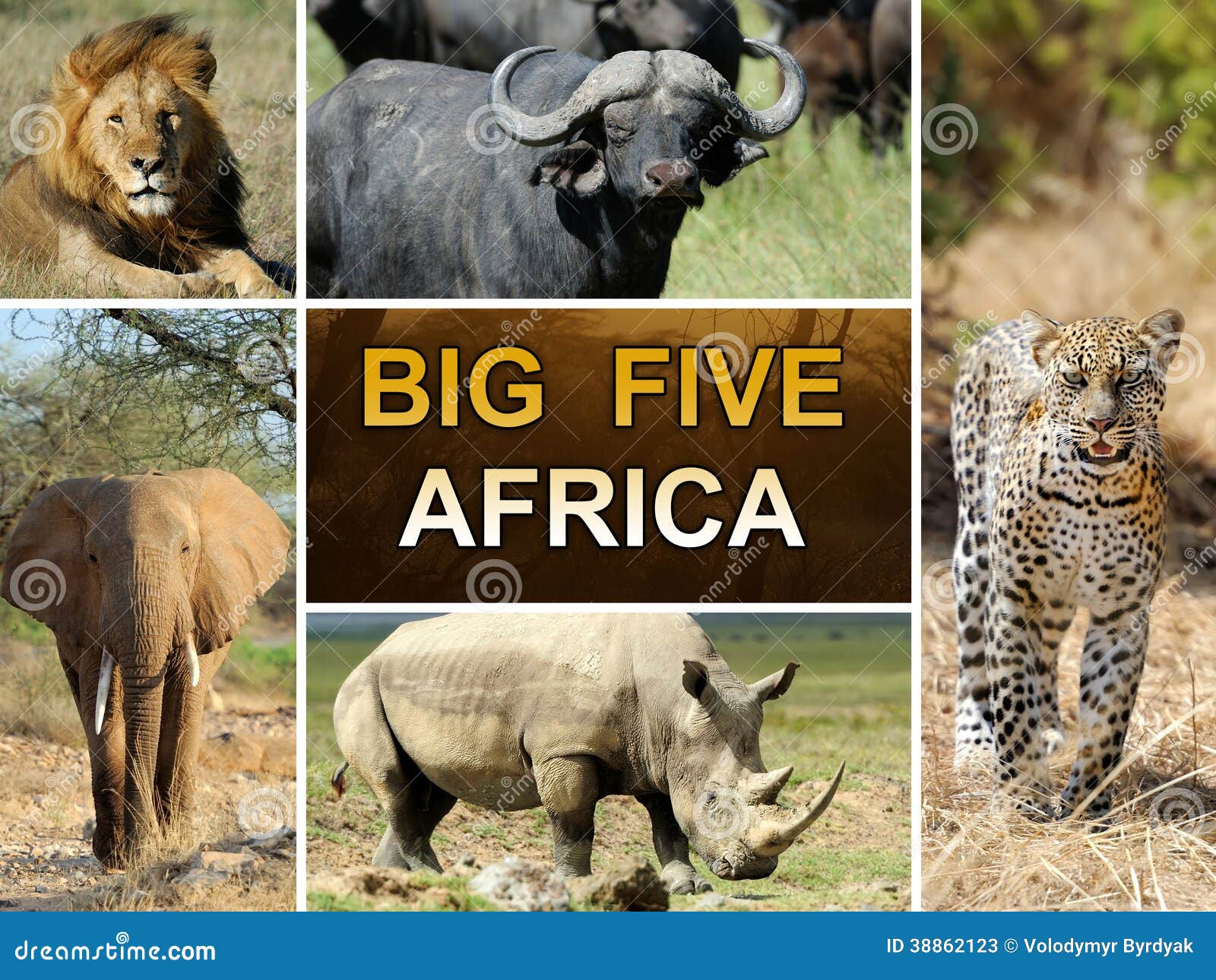 Grote Vijf stock afbeelding. Image of groot, achtergrond - 38862123