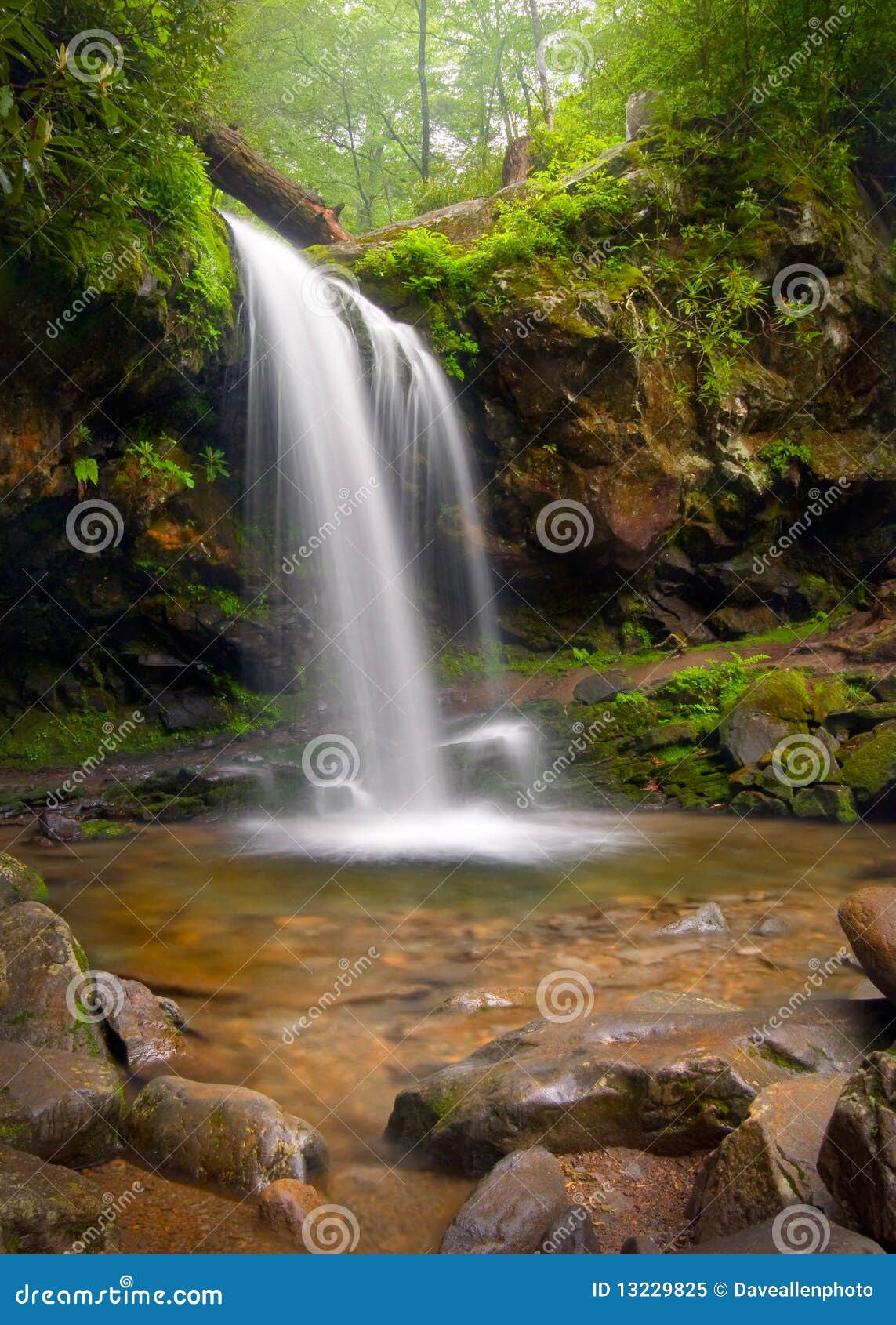 Grotto Falls Smoky Mountain Waterfall Stock Image - Image of backwoods ...