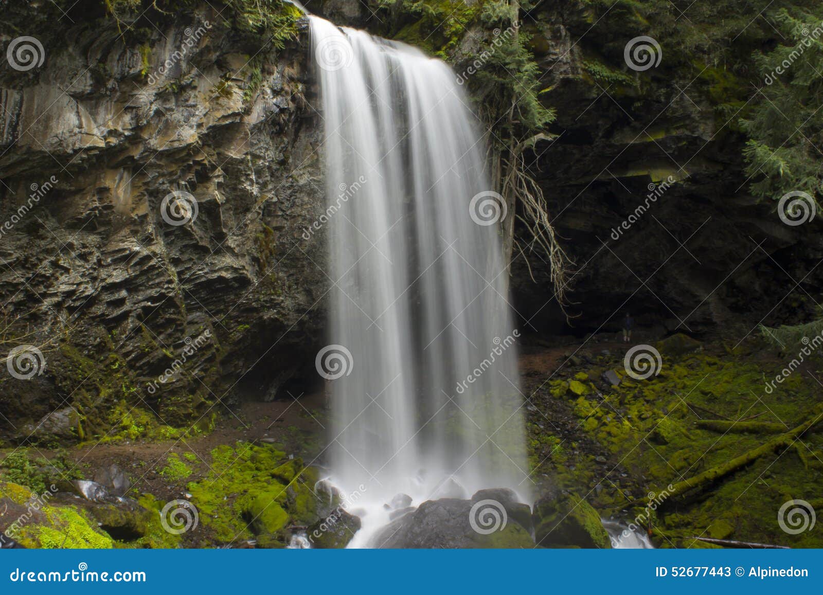 Grotto Falls stock image. Image of flowing, water, nature - 52677443