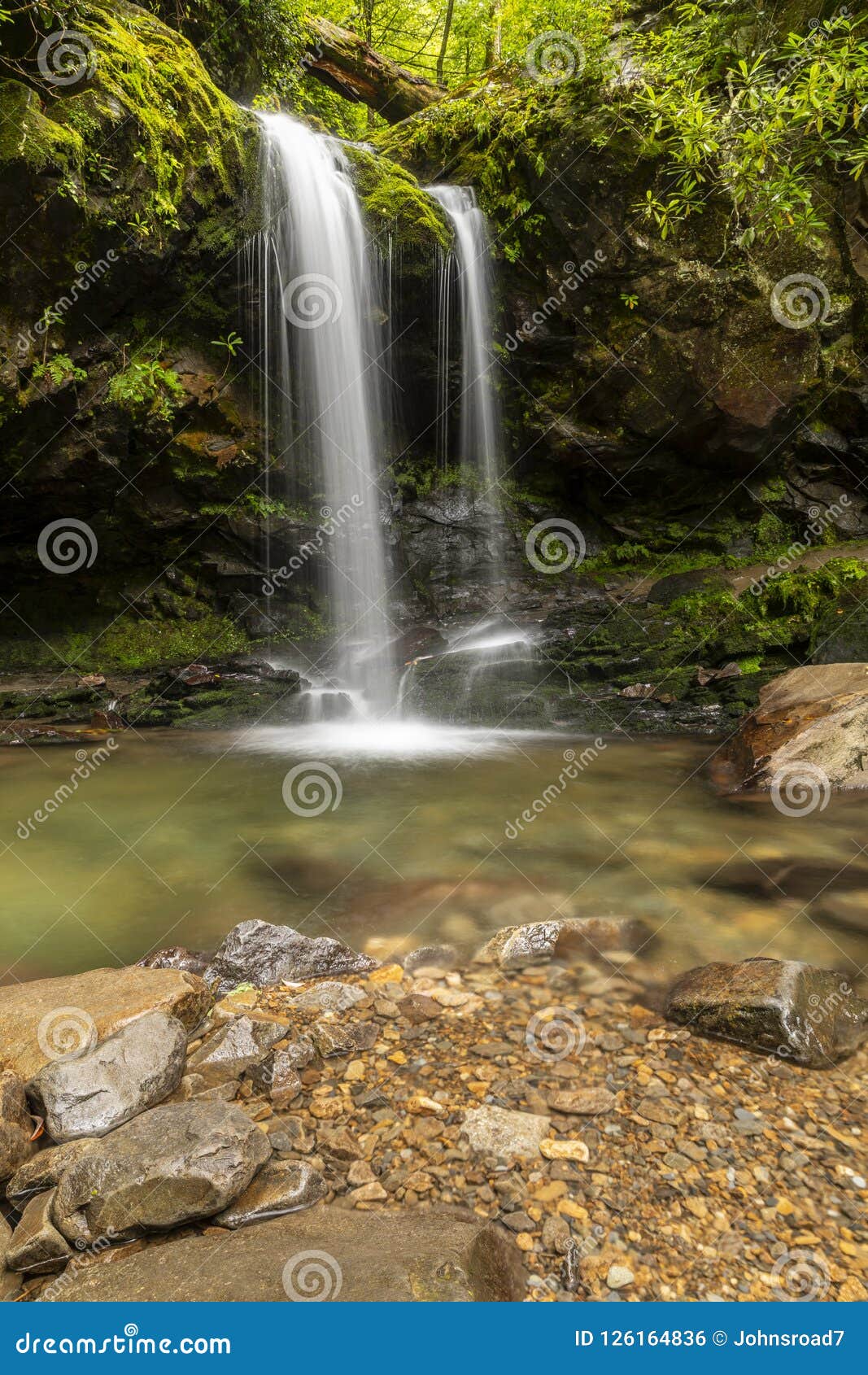 Grotto Falls Waterfall stock photo. Image of blurred - 126164836