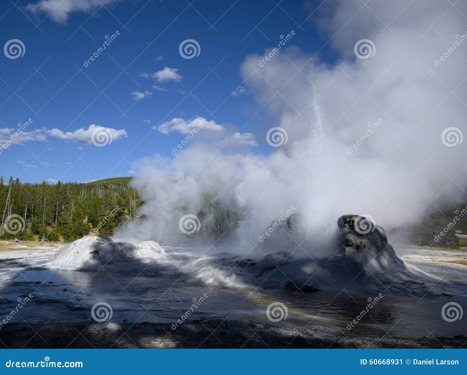 Grotto Geyser stock image. Image of yellowstone, grotto - 60668931