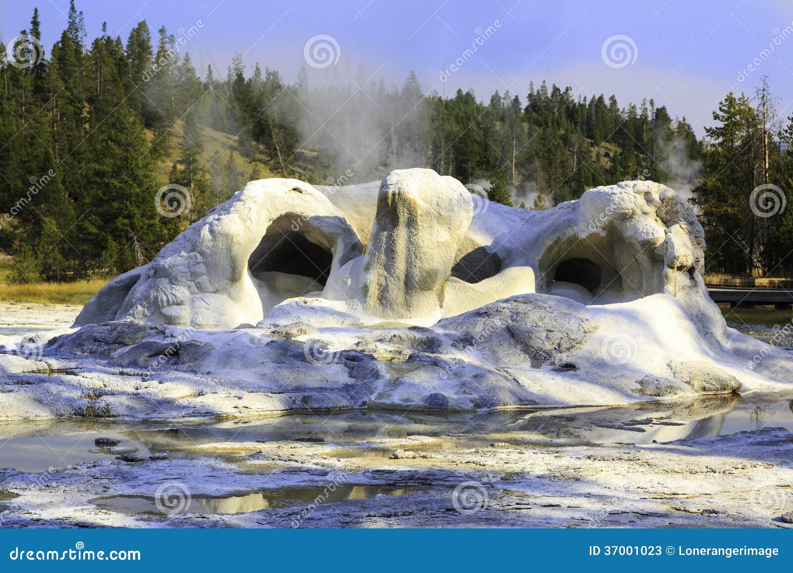 Grotto Geyser in Yellowstone National Park Stock Image - Image of green ...