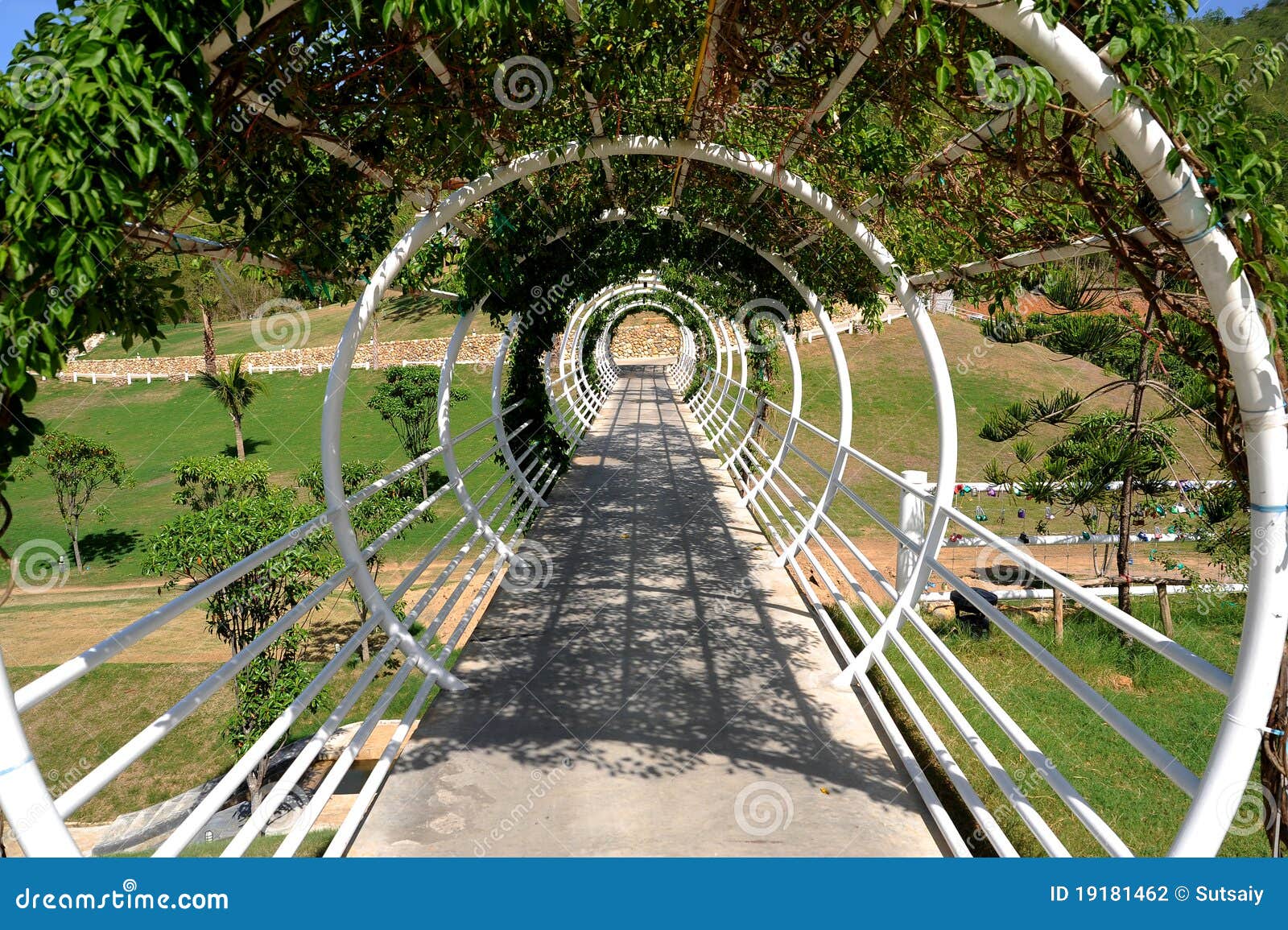 Grotto tree stock photo. Image of cave, ninh, beautiful - 19181462