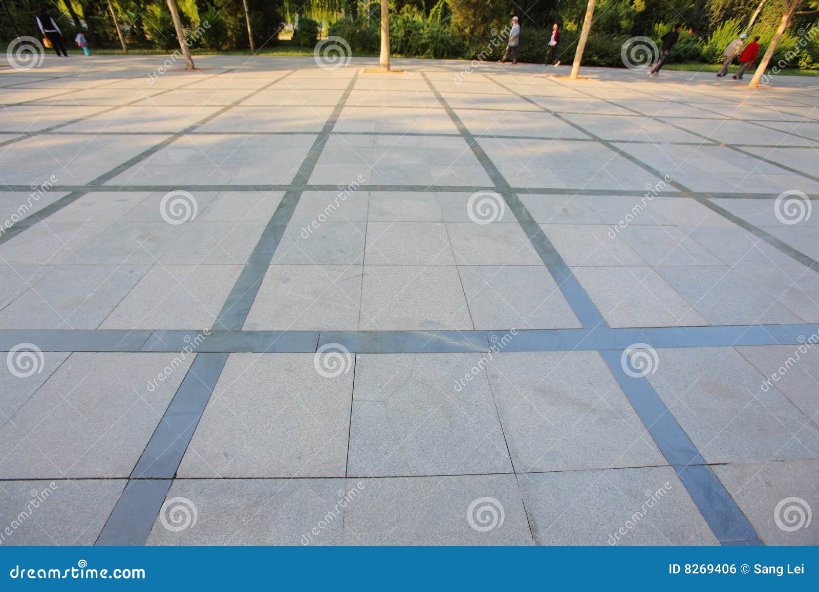 Ground stock photo. Image of trees, outdoor, tree, nature - 8269406