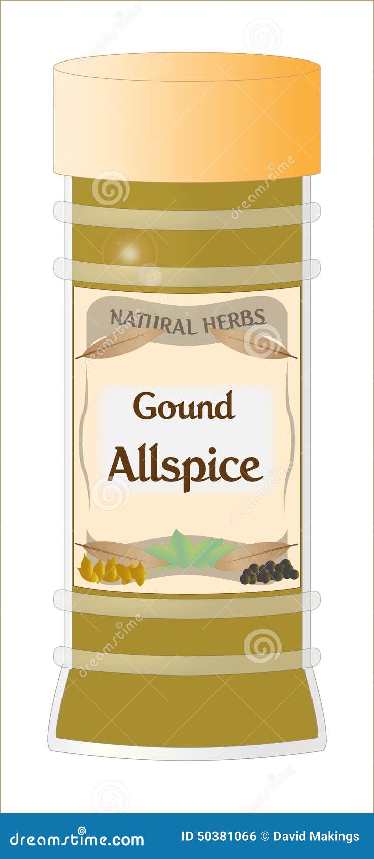 Ground Allspice stock illustration. Illustration of grown - 50381066