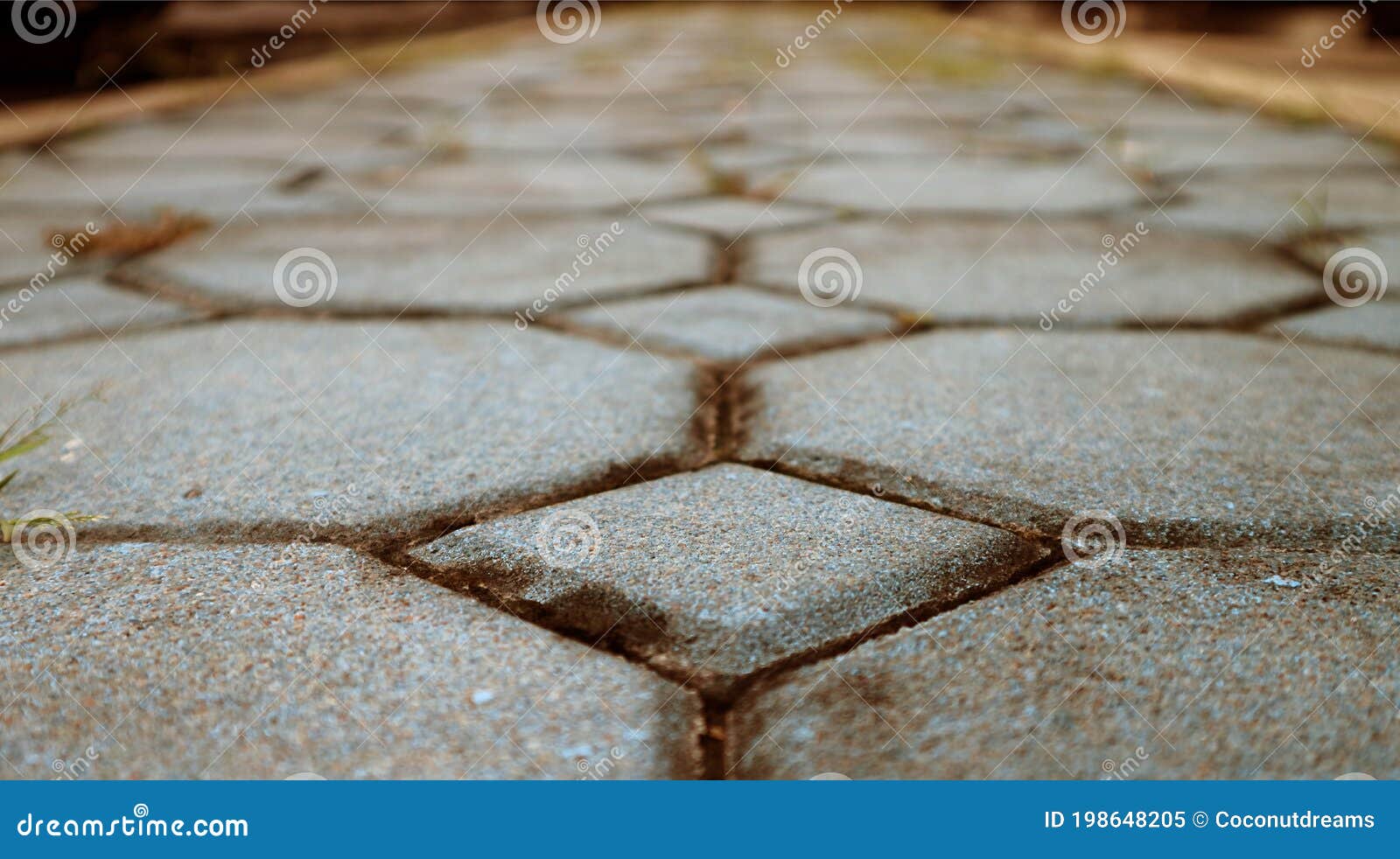 Ground Angle Of Garden`s Pathway With Bright Sun Shining Through Big ...