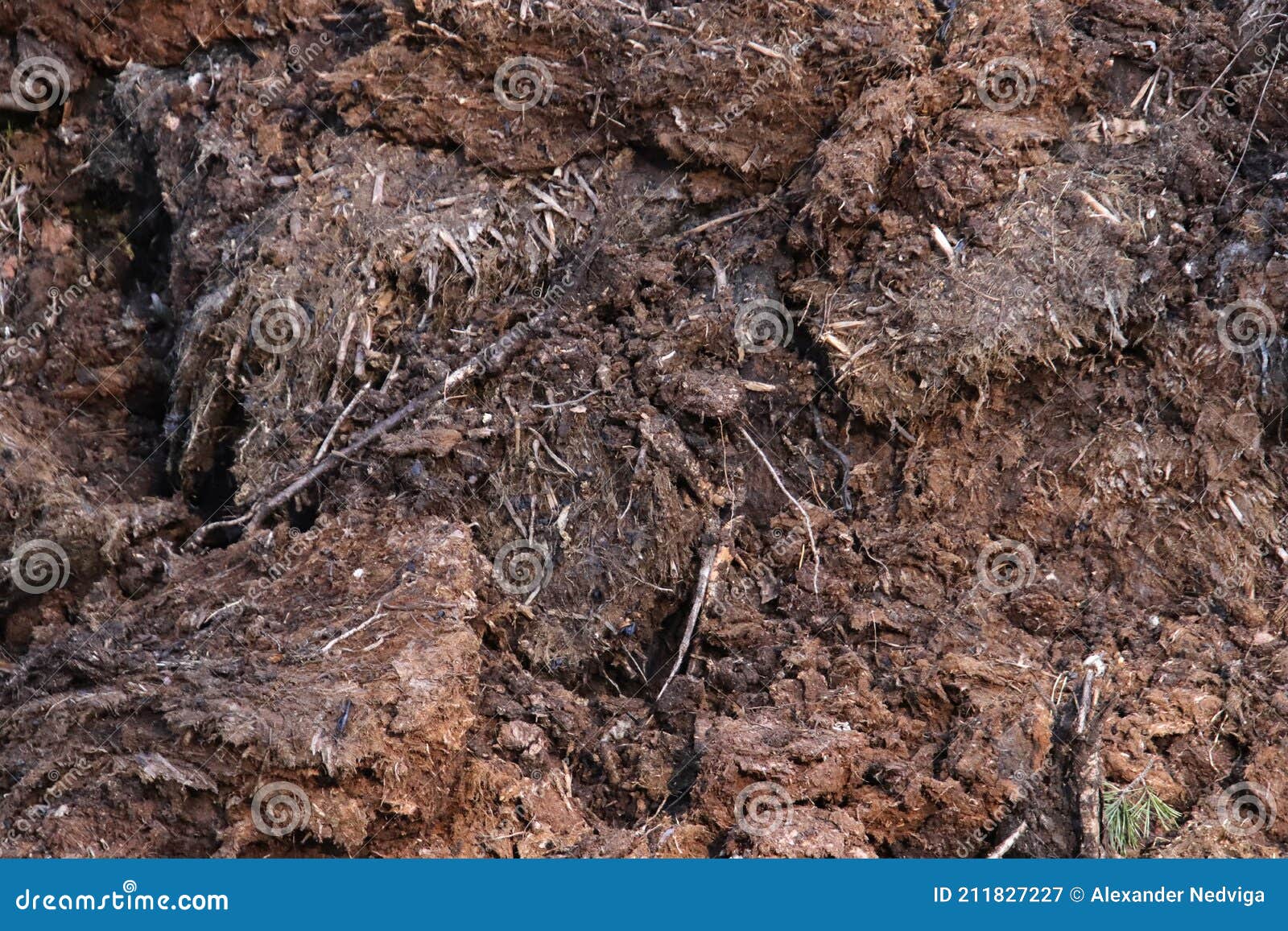 Ground Background. Loose Soil Texture Stock Image - Image of outdoor ...