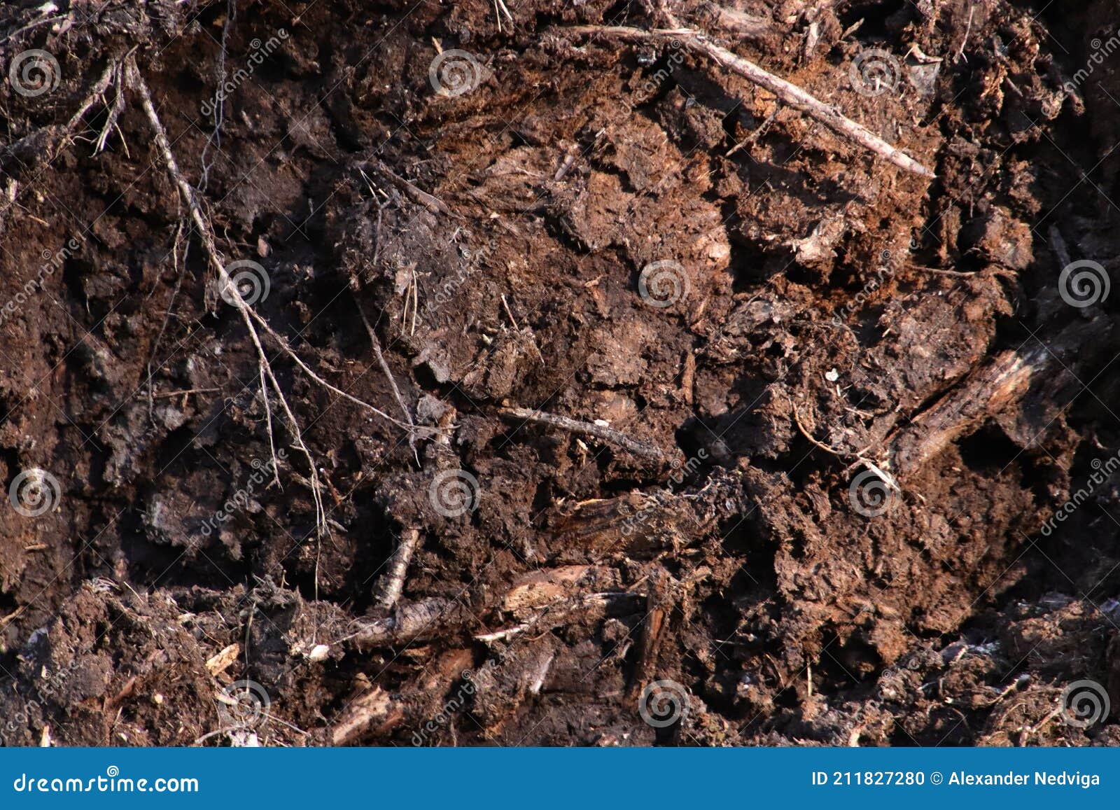 Ground Background. Loose Soil Texture Stock Photo - Image of texture ...