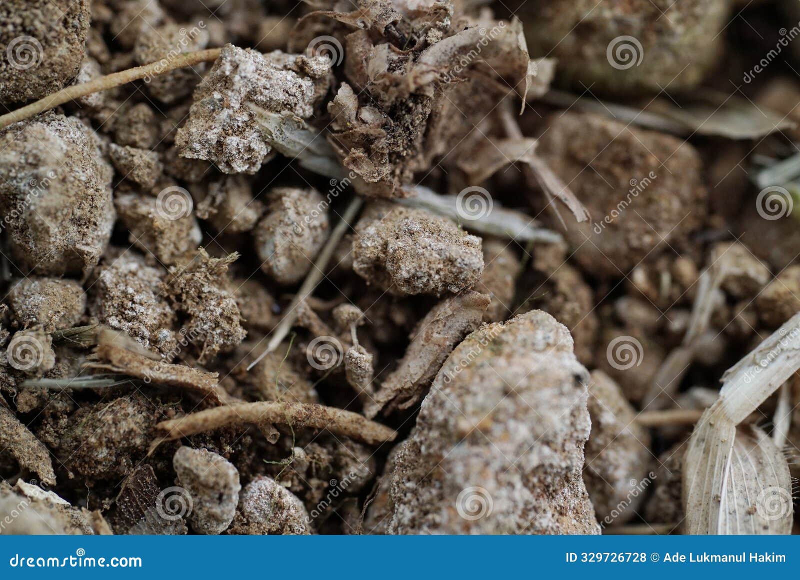 Ground Background with Small Rocks Stock Photo - Image of pile, white ...